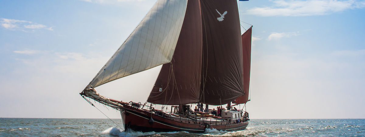 Zwarte Valk - Blue Planet Sail